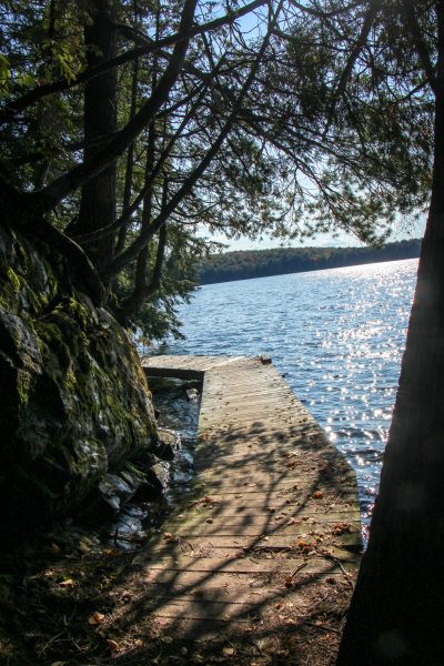 Limberlost_Ontario_Sep_2017 (13 of 21) — Martin Hofmann