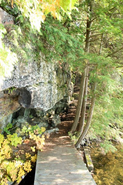 Limberlost_Ontario_Sep_2017 (15 of 21) — Martin Hofmann